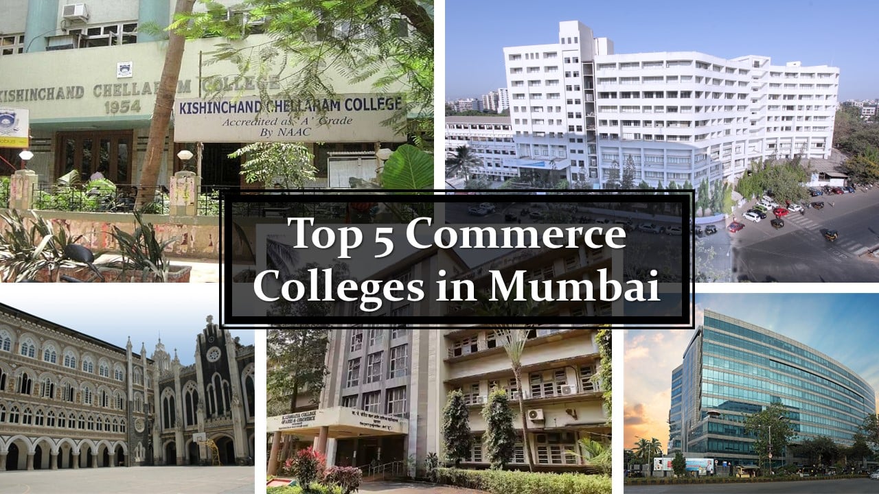 Studycafe - One Stop Solution For CA CS CWA Direct Indirect Tax GST ...